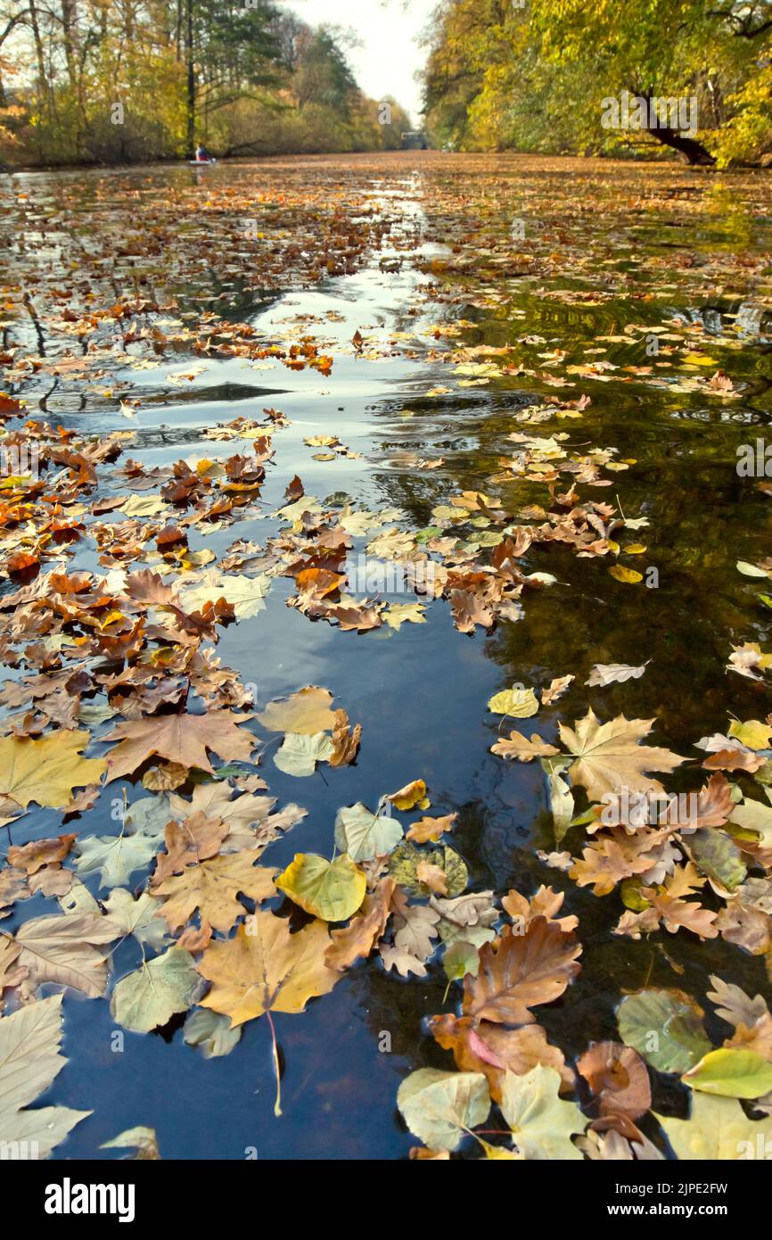 river, autumn leaves, rivers, leaf Stock Photo - Alamy