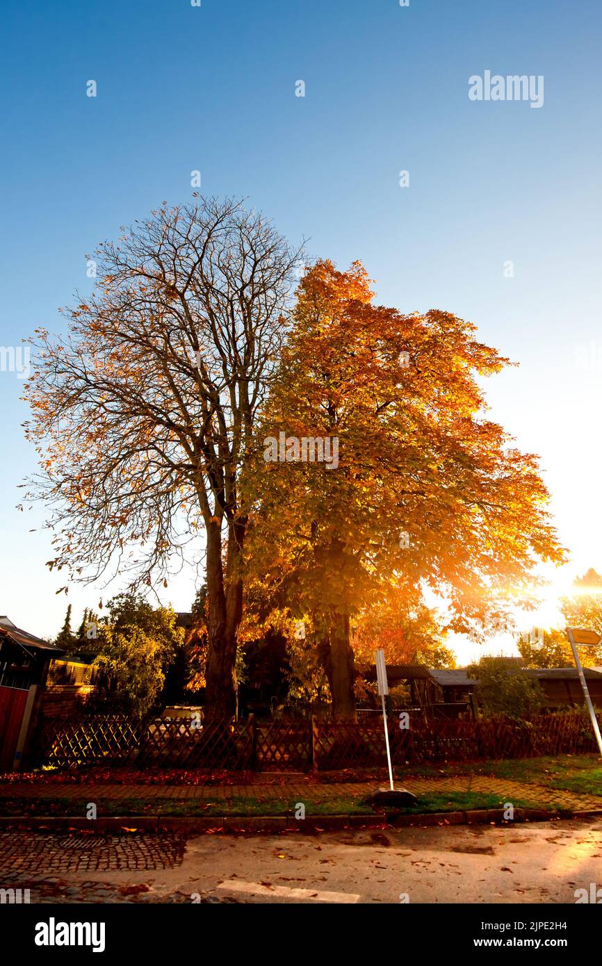 Indian village sunrise hi-res stock photography and images - Alamy