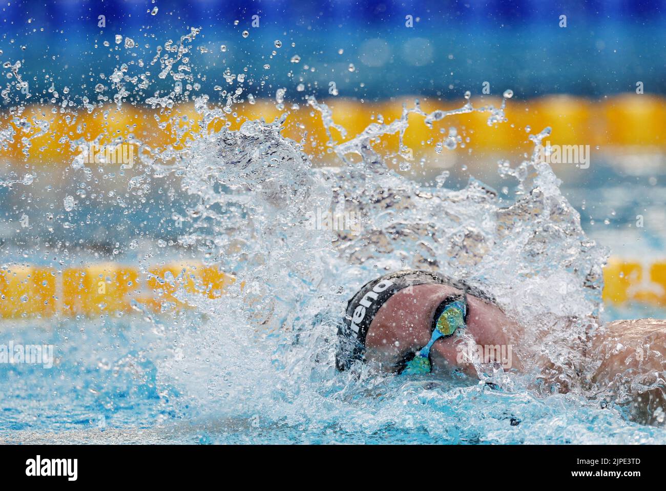 Gose isabel hi-res stock photography and images - Alamy