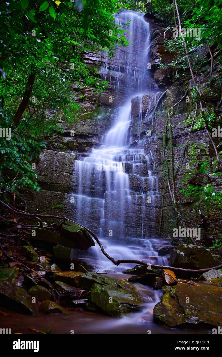 A vertical shot of Tirathgarh waterfall in Kanger Valley National Park ...