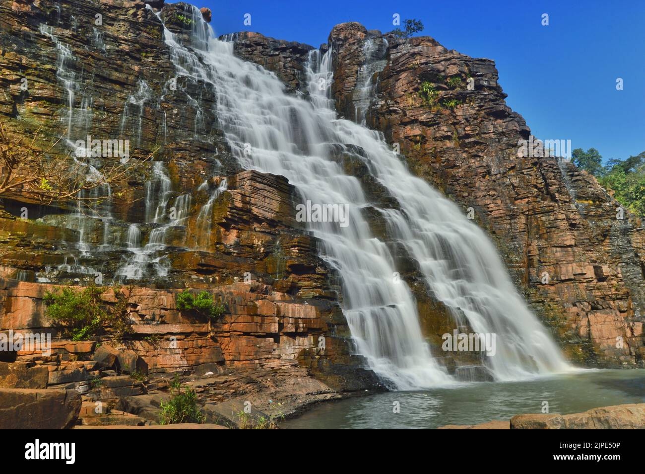 Bastar hi-res stock photography and images - Alamy