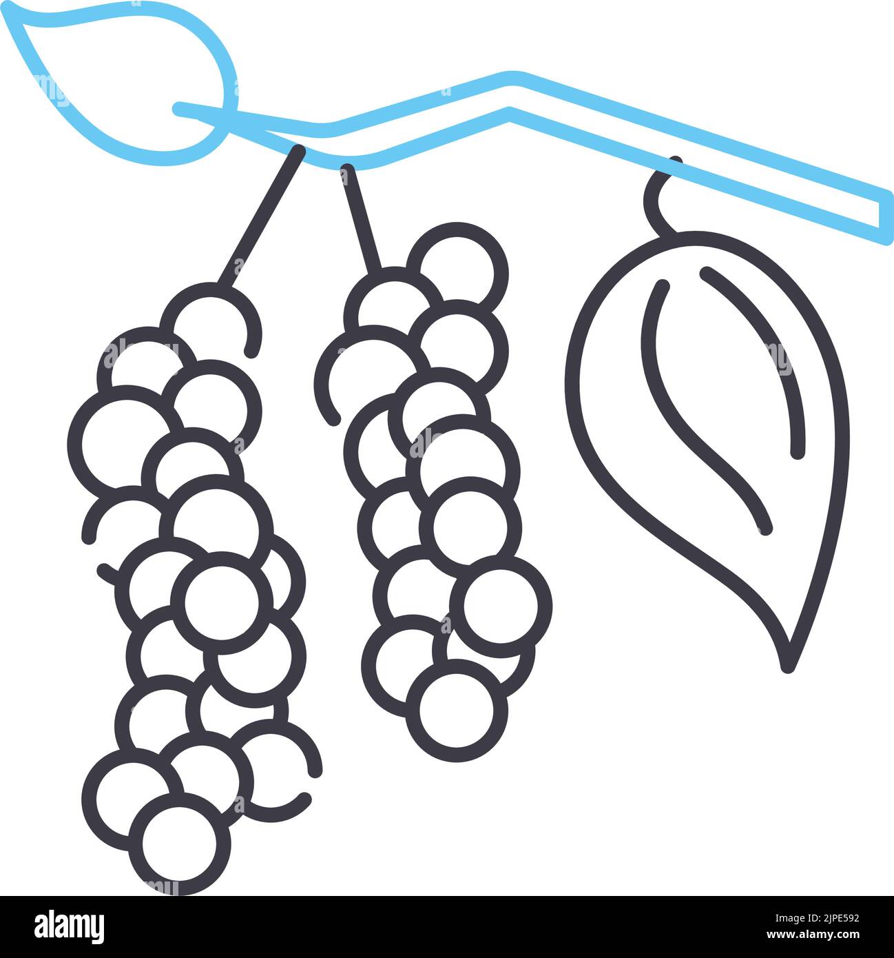 Chili pepper outline Stock Vector Images - Alamy
