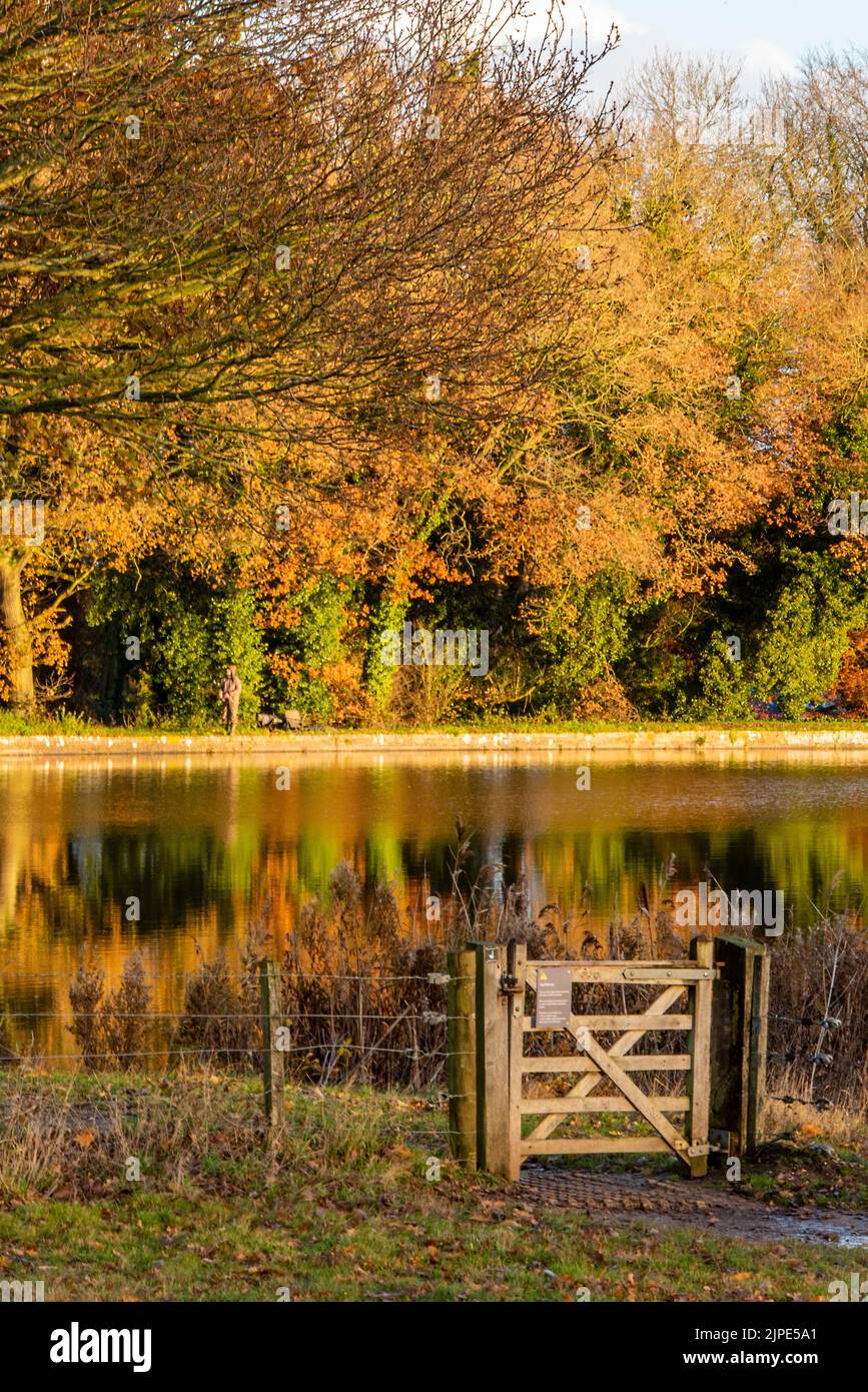 Gate array image hi-res stock photography and images - Alamy