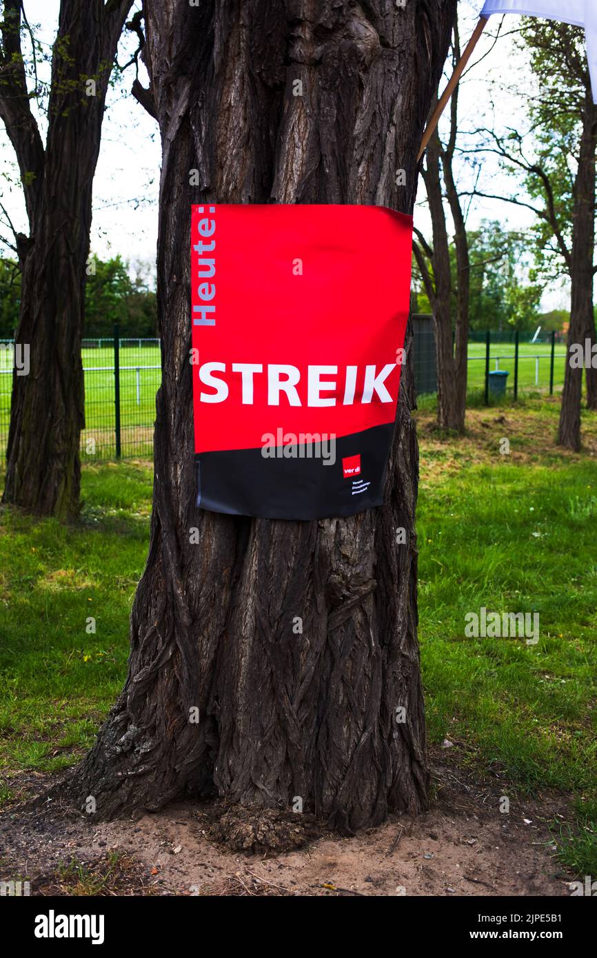 Tree strikes hi-res stock photography and images - Alamy