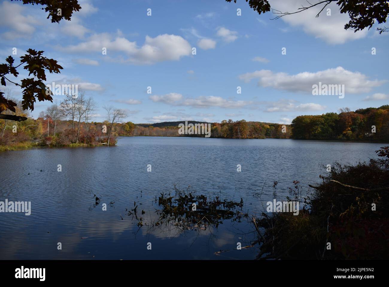 A beautiful view of a calm lake surrounded by trees Stock Photo - Alamy