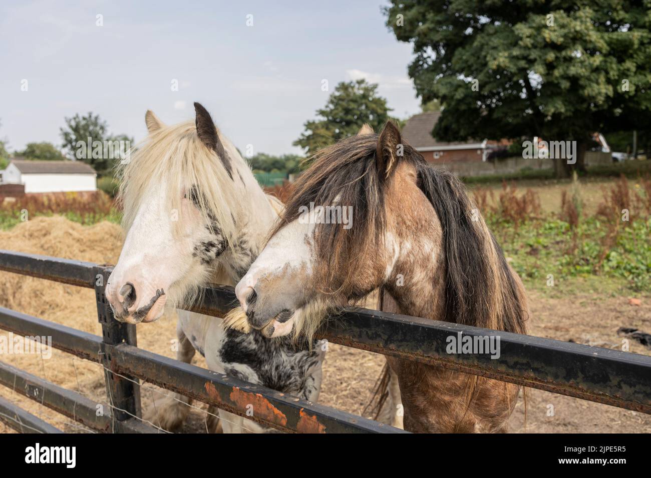 Leaning over rail hi-res stock photography and images - Alamy