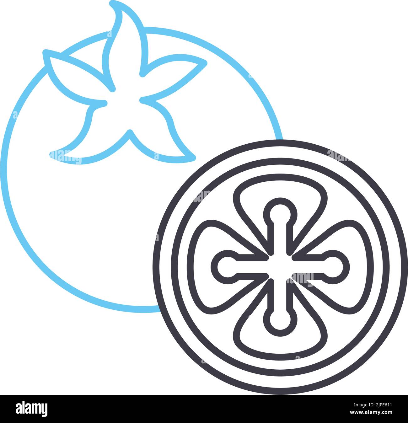 tomato line icon, outline symbol, vector illustration, concept sign ...