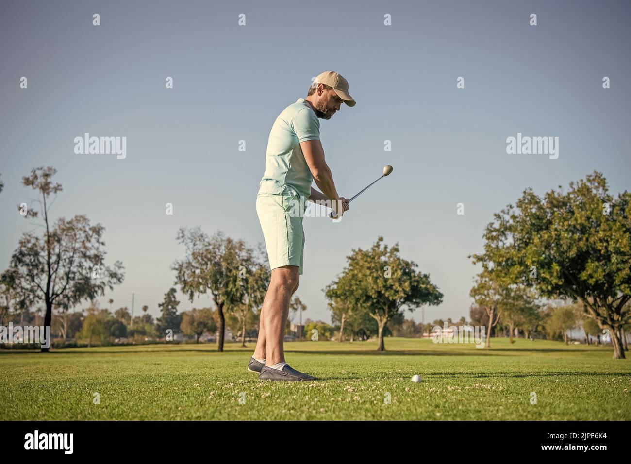 full length male golf player on professional course with green grass ...
