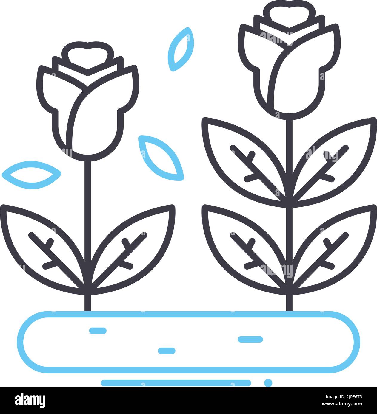 rose line icon, outline symbol, vector illustration, concept sign Stock ...