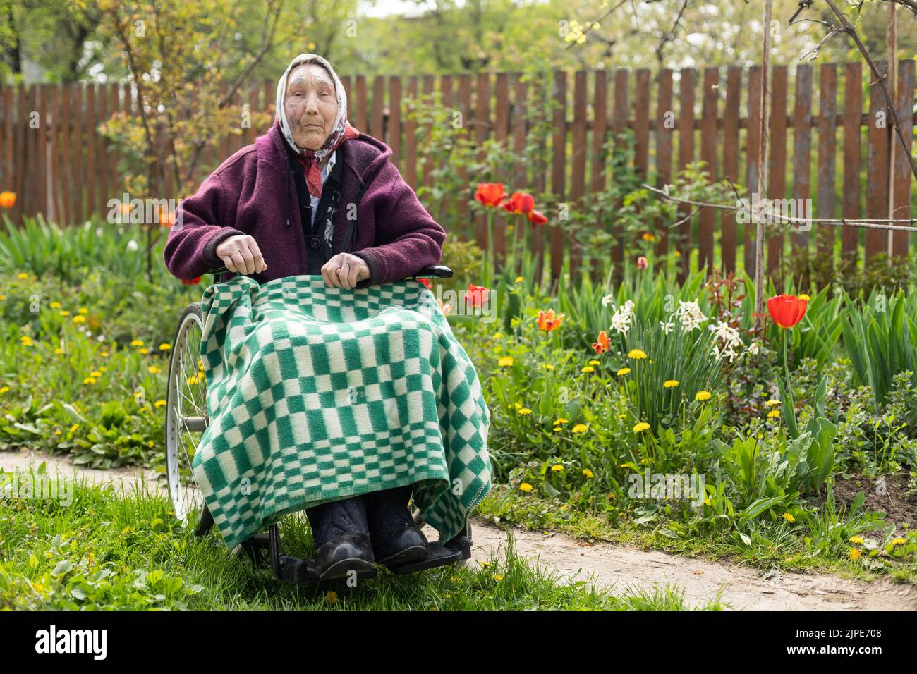 Disabled weak older woman hi-res stock photography and images - Alamy