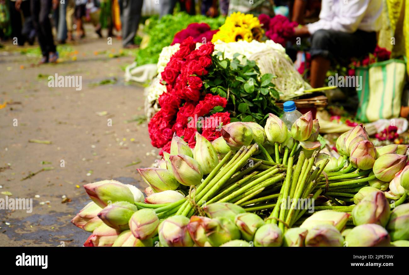 Lotus and Red Rose are kept in a row for selling in Howrah Flower ...
