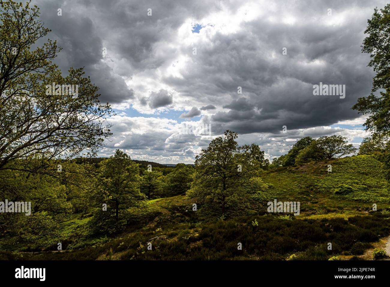 Gjern Bakker, Denmark. A hilly landscape created by the Ice Age Stock ...