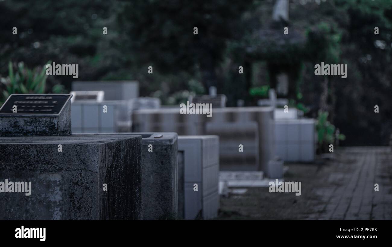 Beautiful and dramatic photos of the cemetery of Liberia in Guanacaste ...
