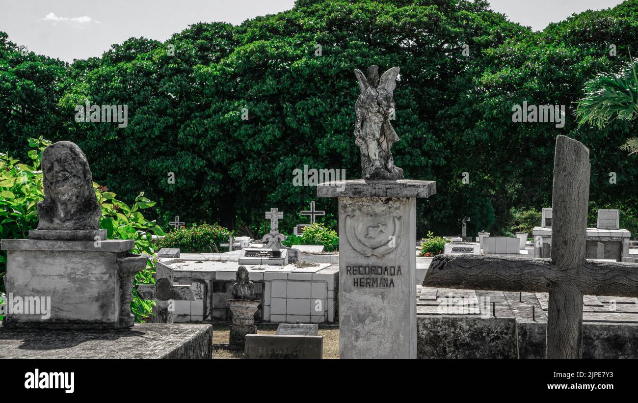 Beautiful and dramatic photos of the cemetery of Liberia in Guanacaste ...