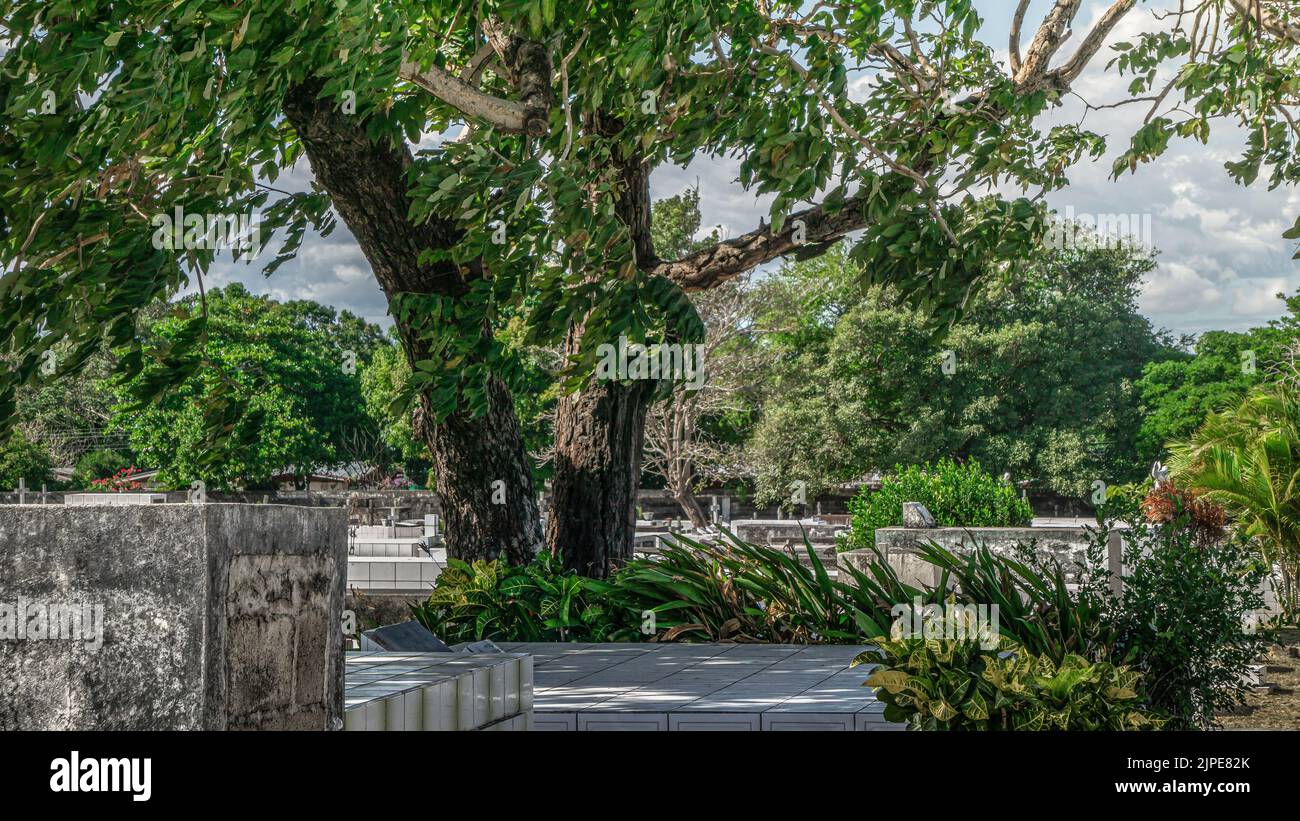 Beautiful and dramatic photos of the cemetery of Liberia in Guanacaste ...