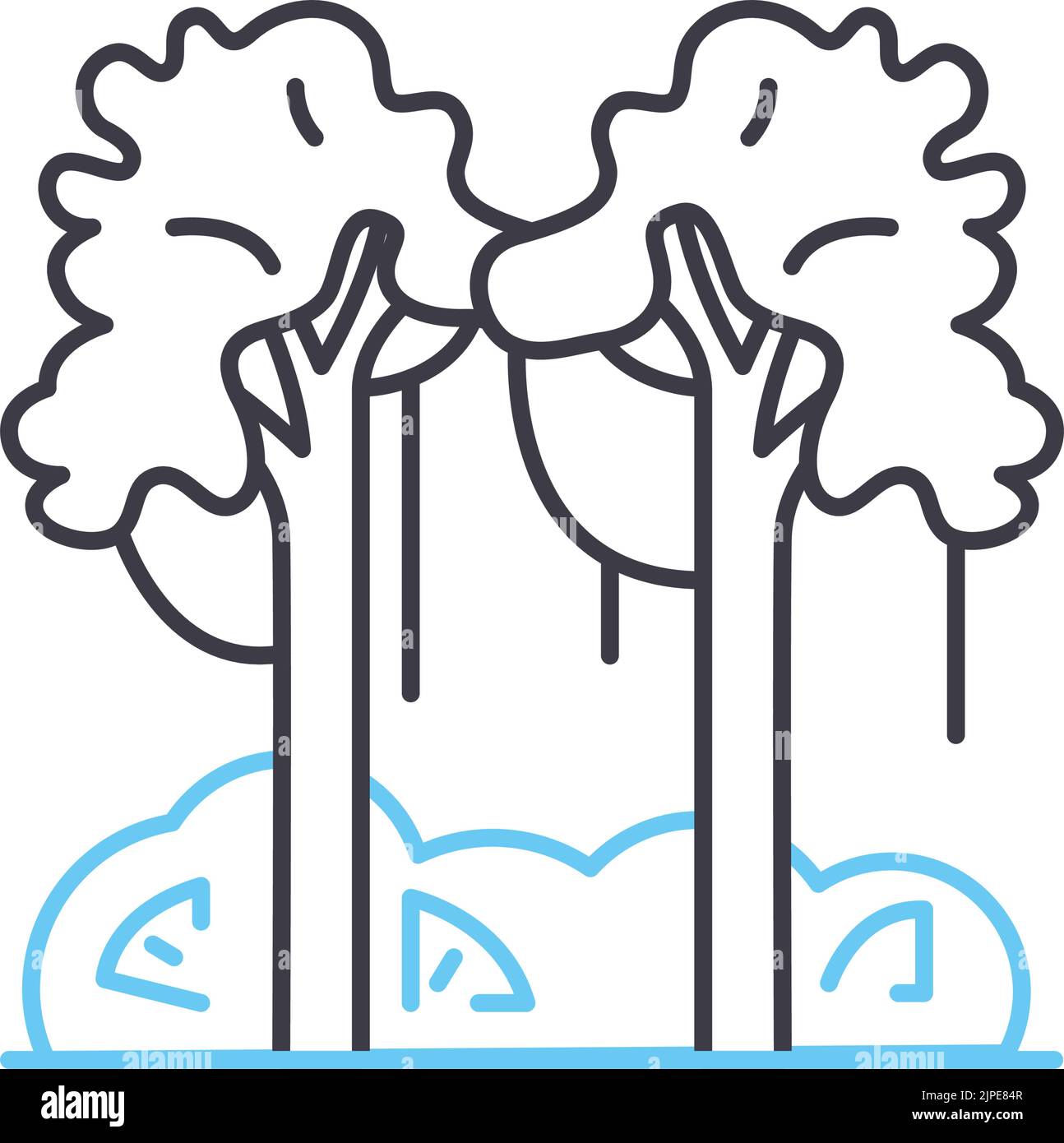 Rainforest Trees Clipart Black And White