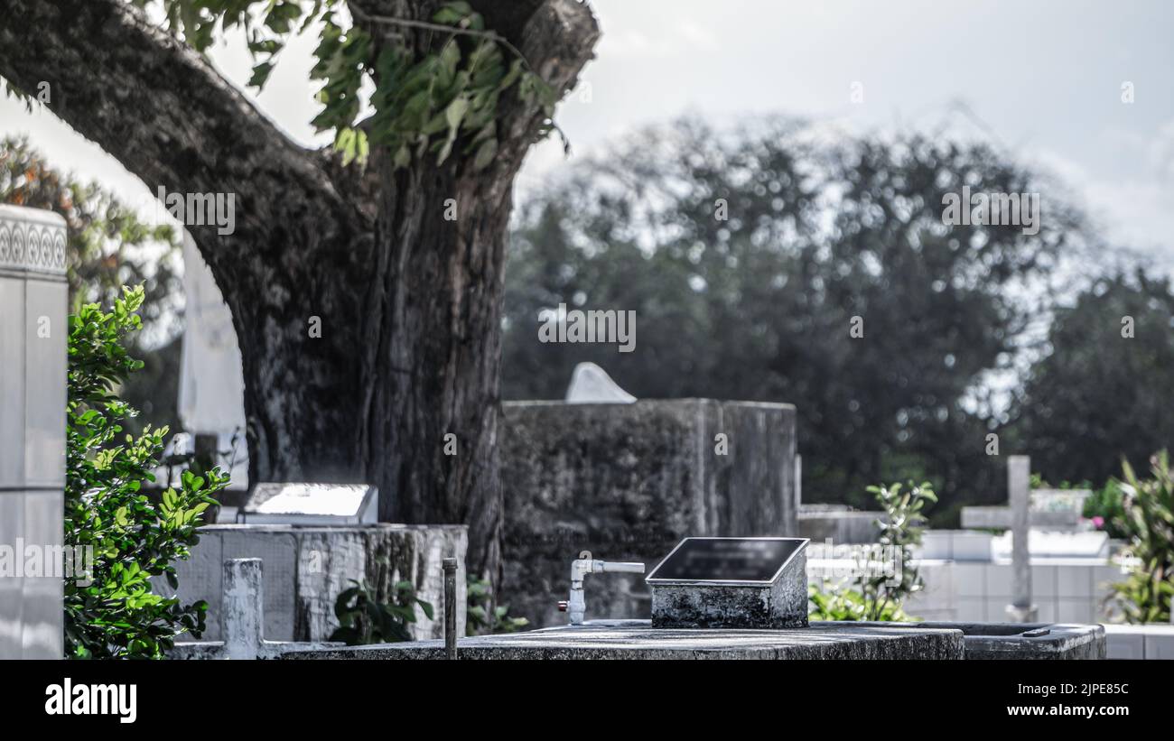 Beautiful and dramatic photos of the cemetery of Liberia in Guanacaste ...