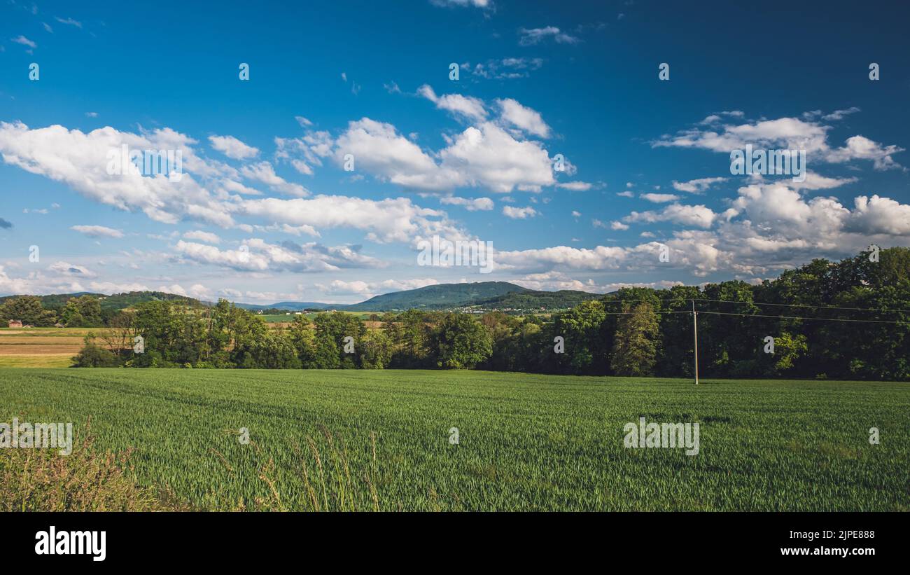 A beautiful scenery of a grass field with mountains and a clear sky in ...