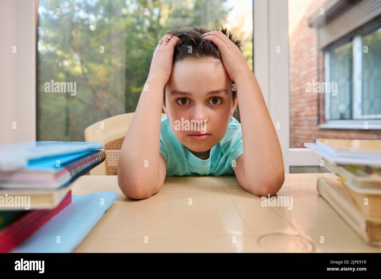 Portrait of Caucasian stunning smart schoolboy, elementary school ...