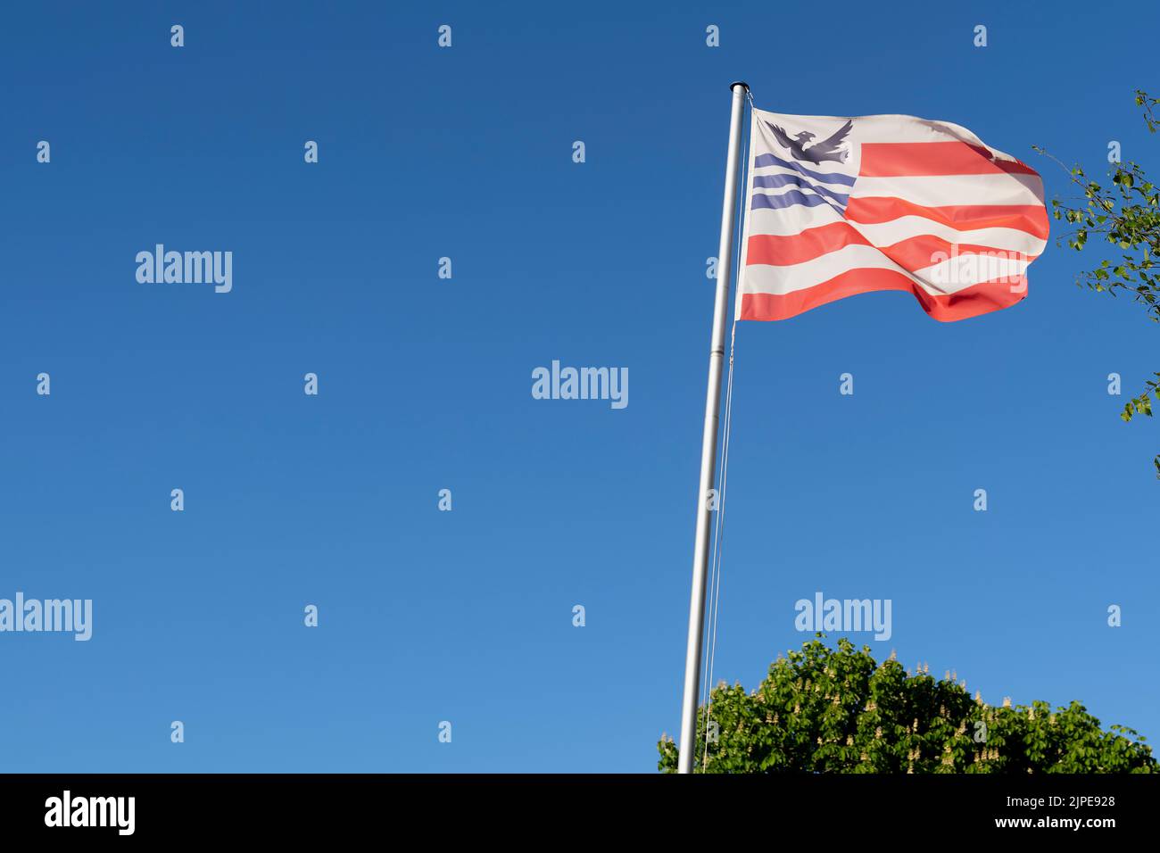 The flag of the former Dutch village Smilde in Drenthe bird and stripes ...