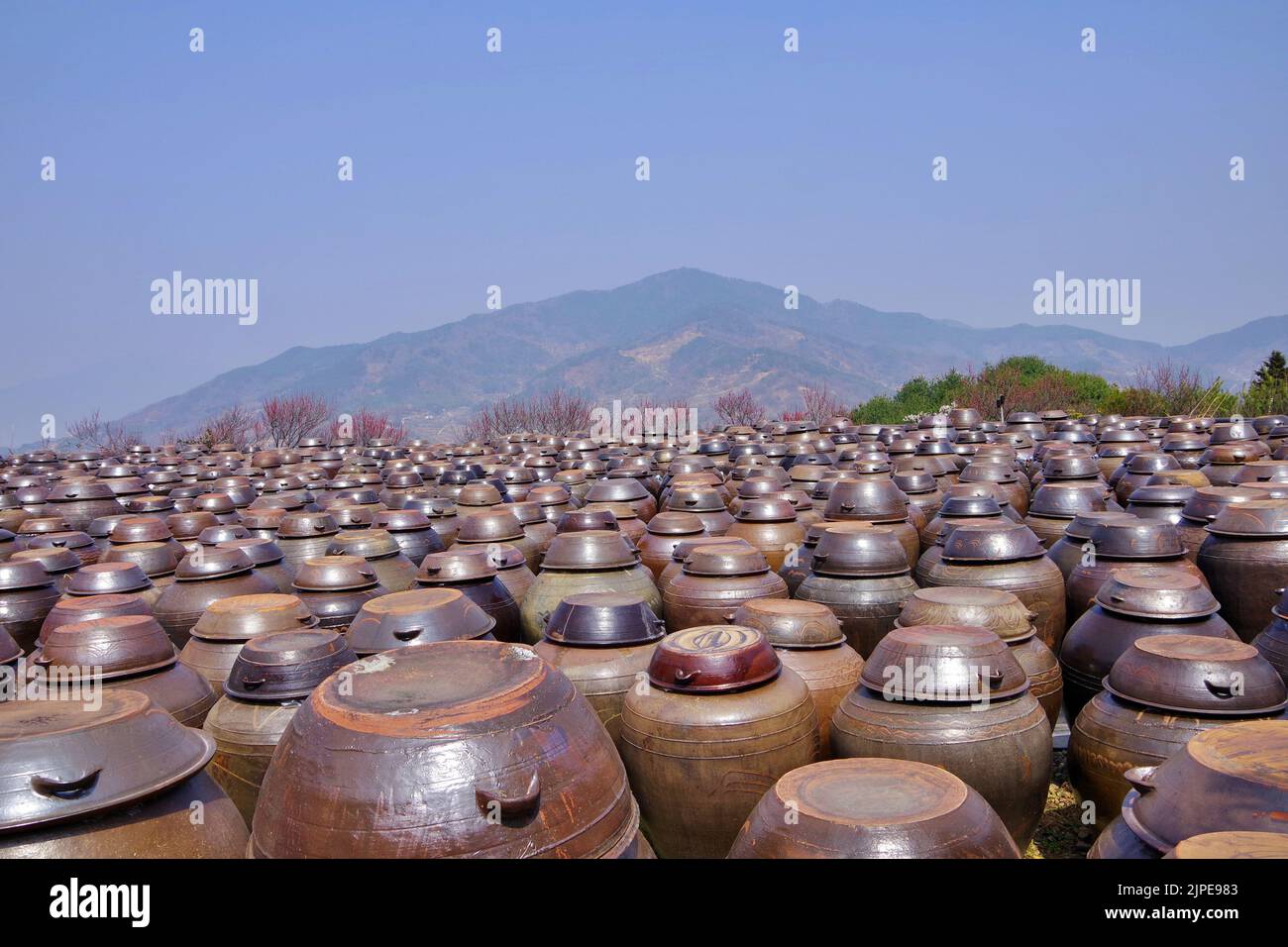Korean traditional jar Stock Photo - Alamy