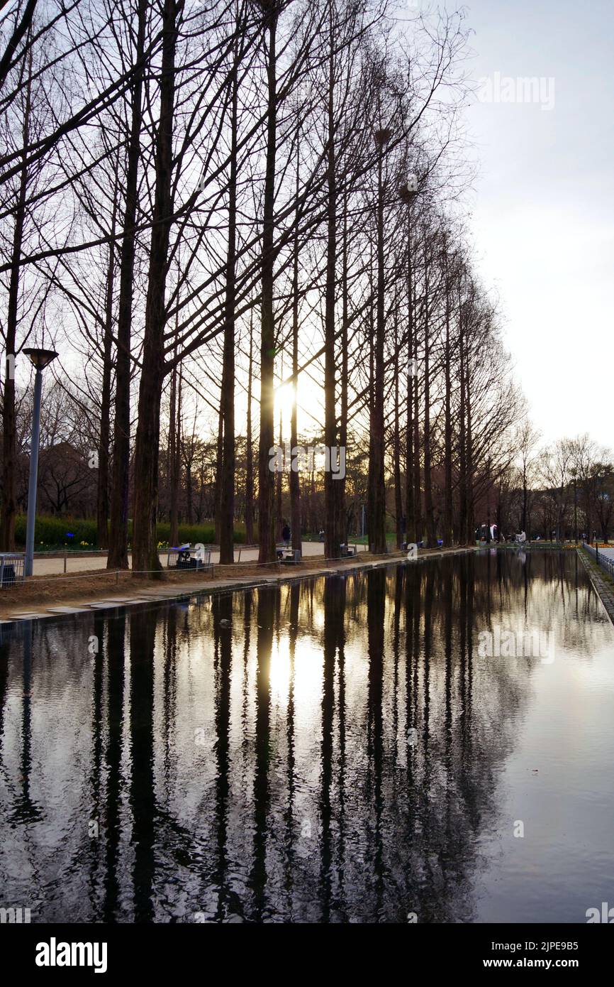Mirror lake walk hi-res stock photography and images - Alamy