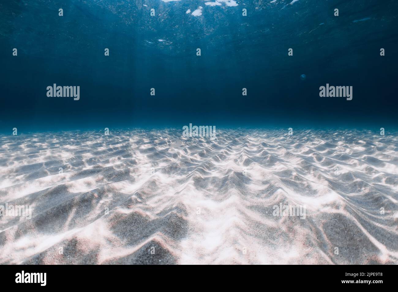 Transparent blue ocean with sandy bottom underwater in West Australia ...