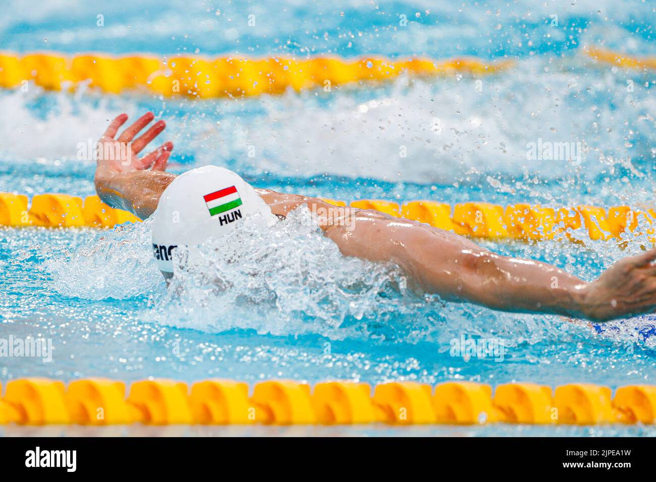 Hubert kos of hungary hi-res stock photography and images - Alamy