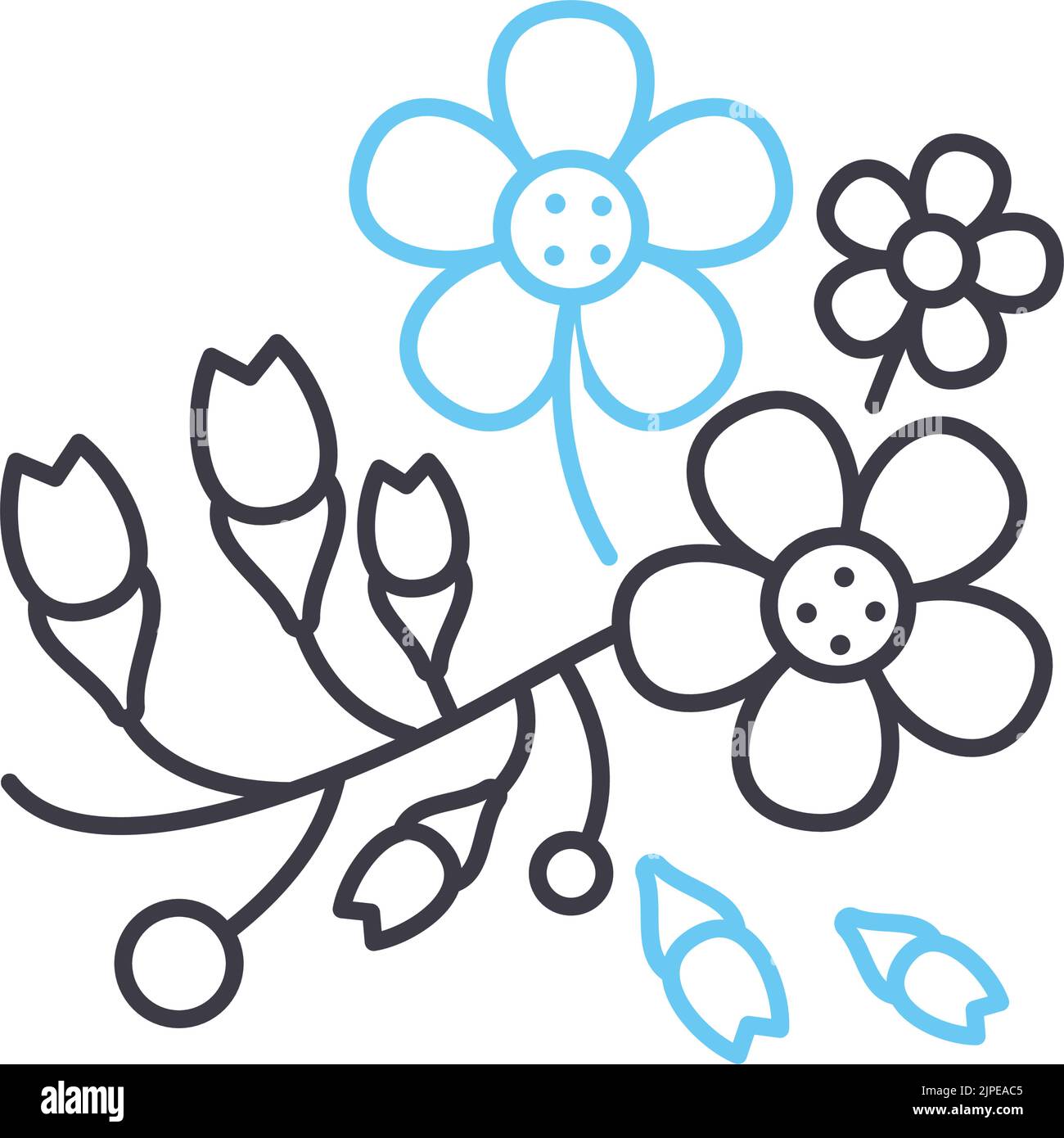 sakura line icon, outline symbol, vector illustration, concept sign ...
