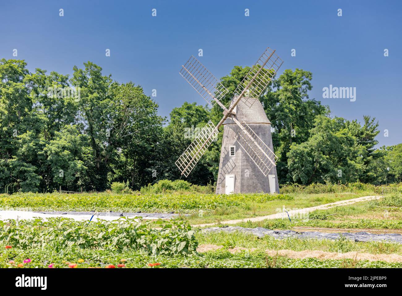 Cornelia horsford hi-res stock photography and images - Alamy