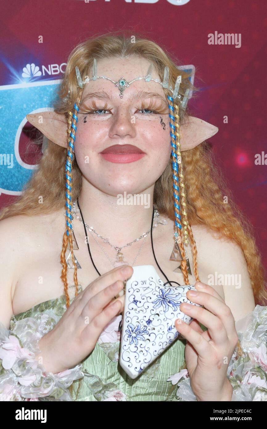 Freckled zelda hi-res stock photography and images - Alamy