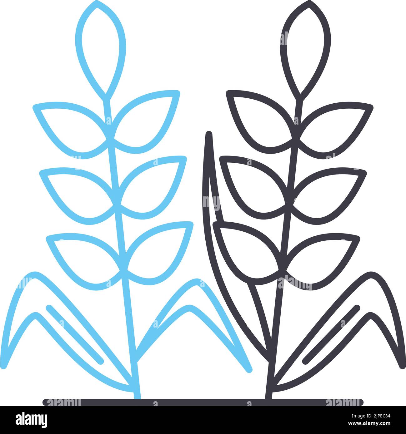 grain line icon, outline symbol, vector illustration, concept sign ...