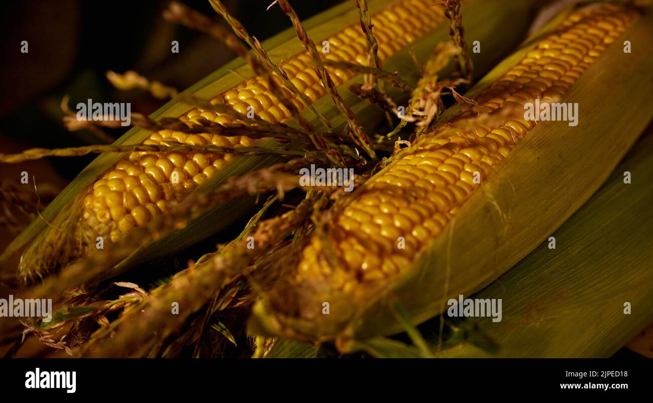Close up of a corncob hi-res stock photography and images - Alamy