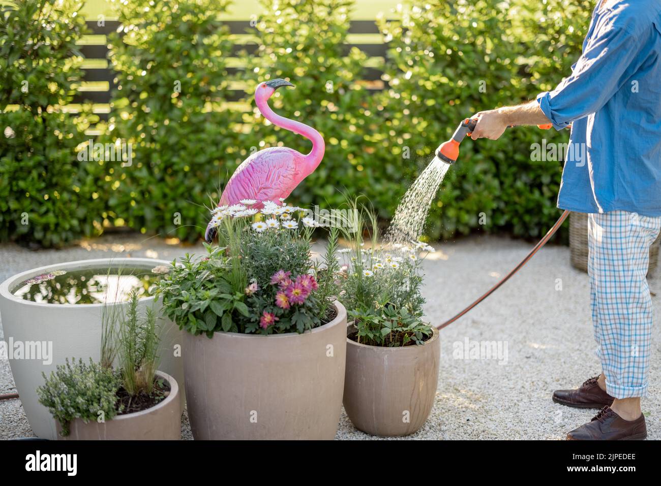 Man watering tree hi-res stock photography and images - Alamy