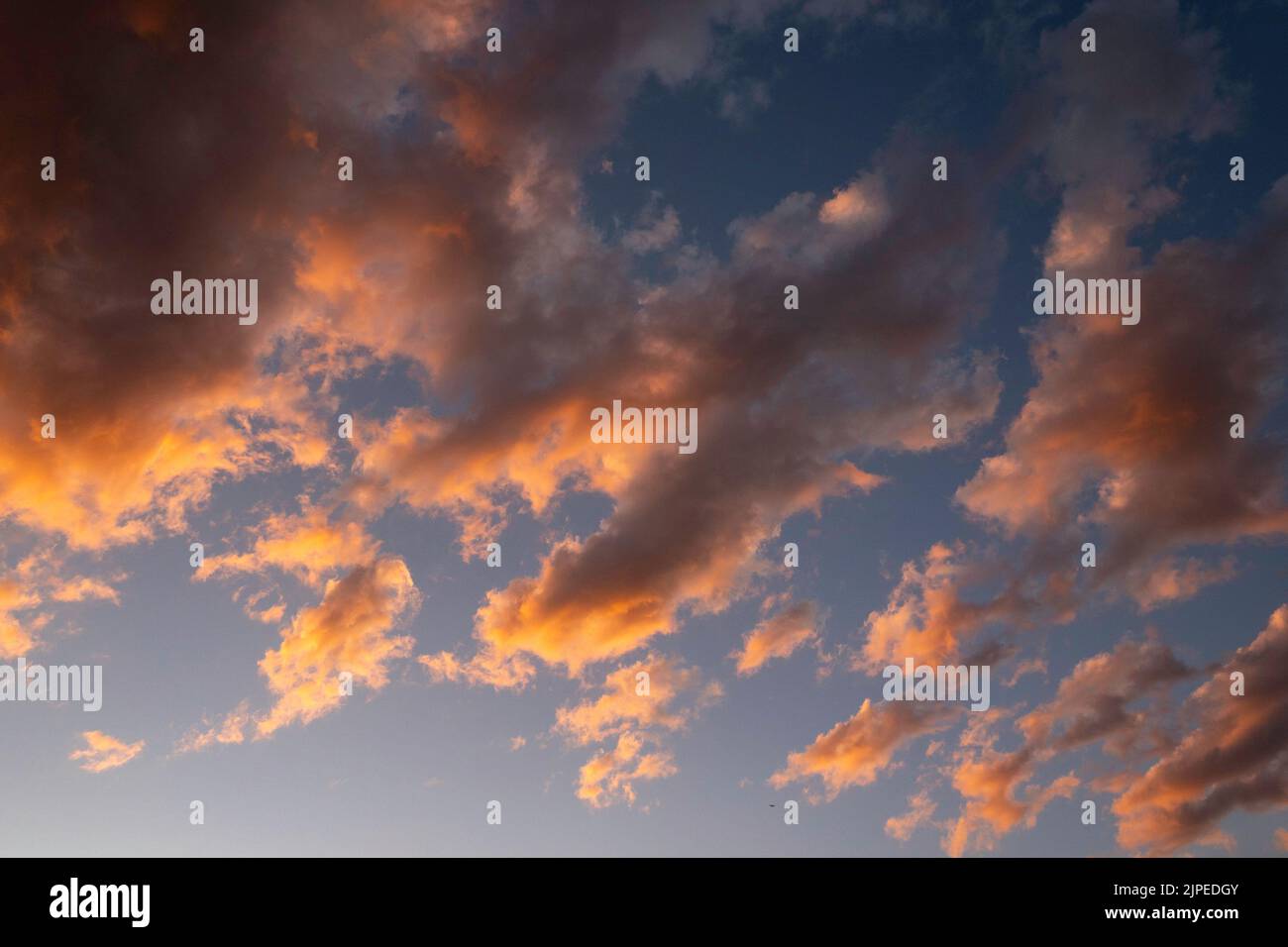 Colorful Sunlit Clouds at Sunset, USA, 2022 Stock Photo - Alamy