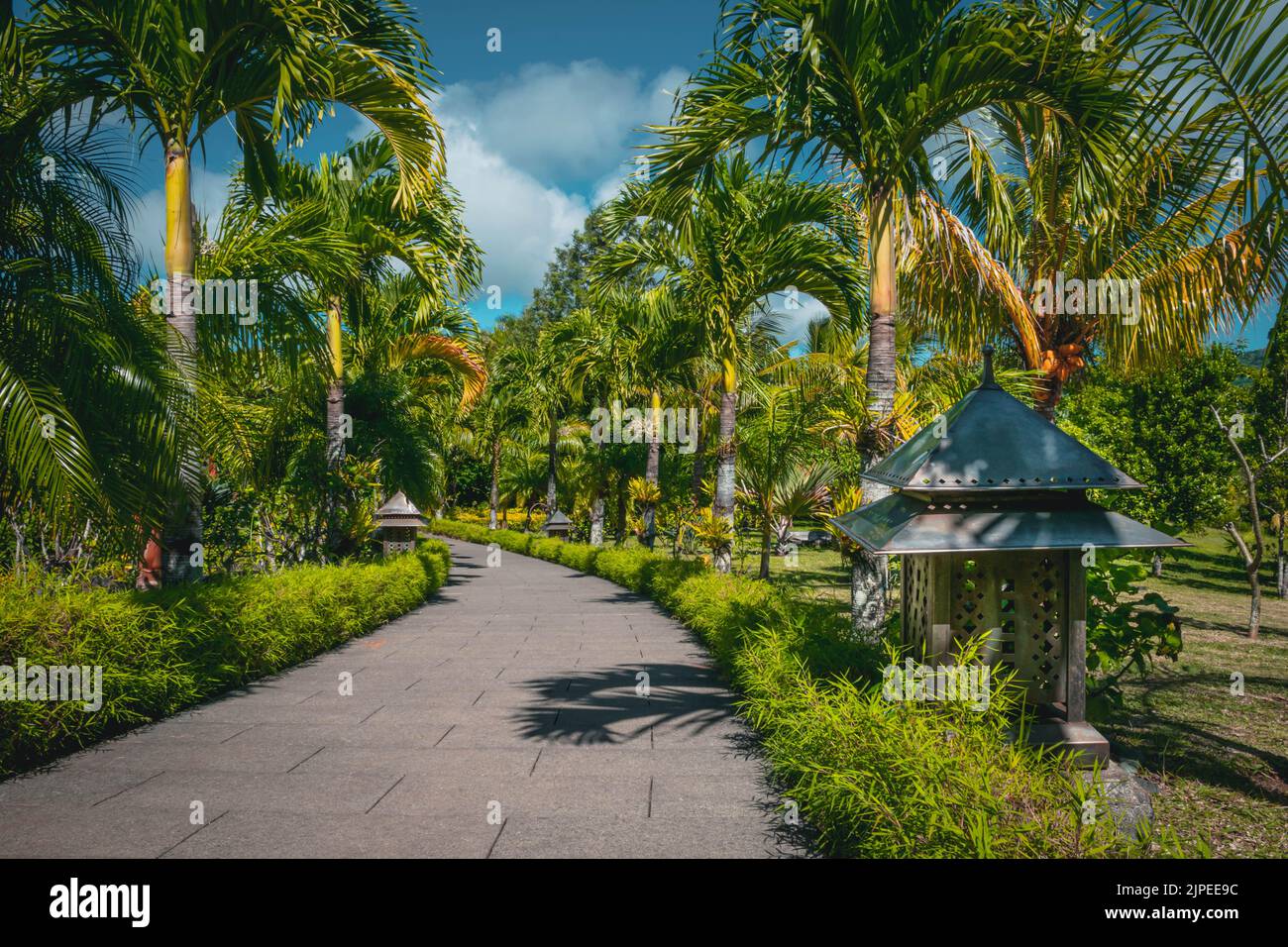 Foot path in tropical garden Stock Photo - Alamy