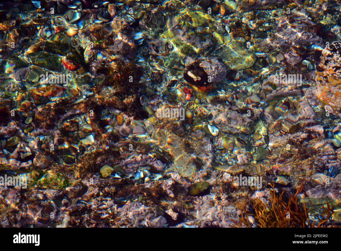 Refraction and diffraction of light in water Stock Photo - Alamy