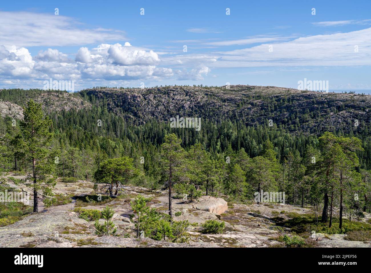 Stunning View of Skuleskogen National park and Sweden High Coast Stock ...