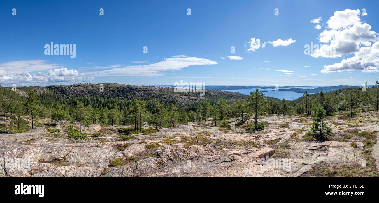 Sweden high coast trail hi-res stock photography and images - Alamy
