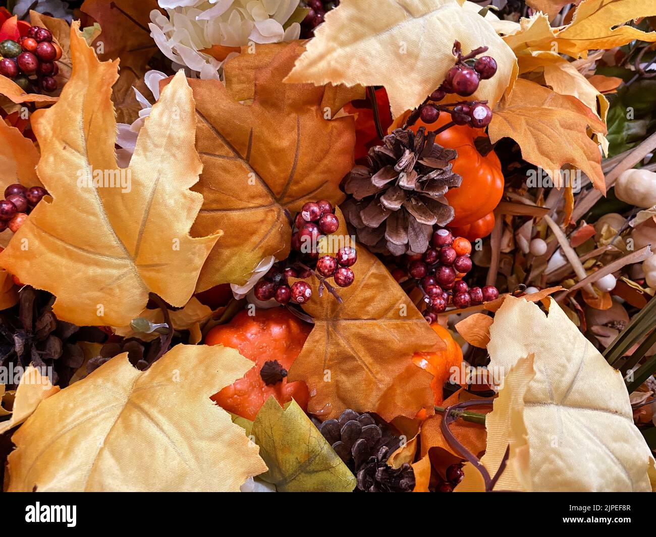Vibrant Fall leaves - Perfect for adding your personal touch to social ...