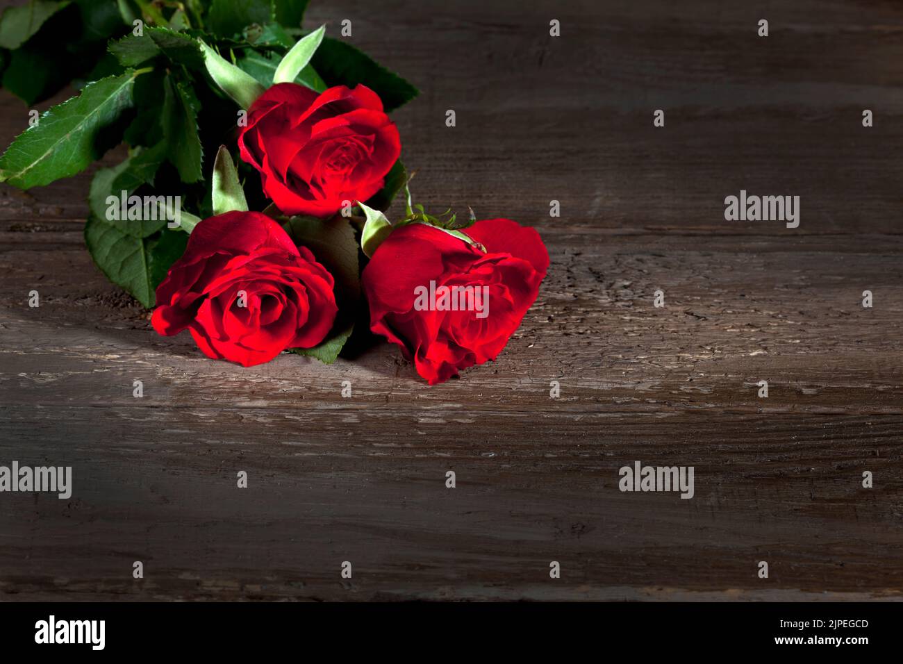 roses, red roses, rose, red rose Stock Photo - Alamy