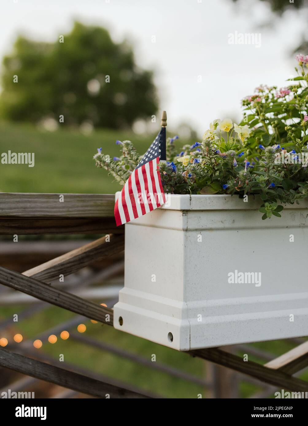 Floral Window box Holding an American Flag with a Grass Background in ...