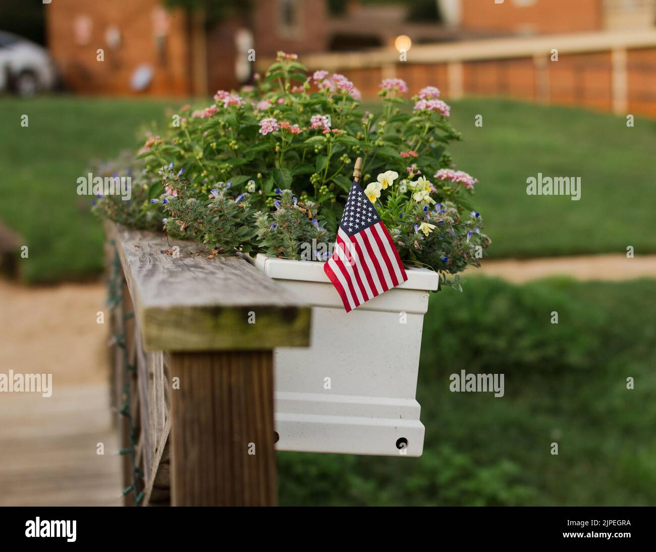 Floral Window box Holding an American Flag with a Grass Background in ...