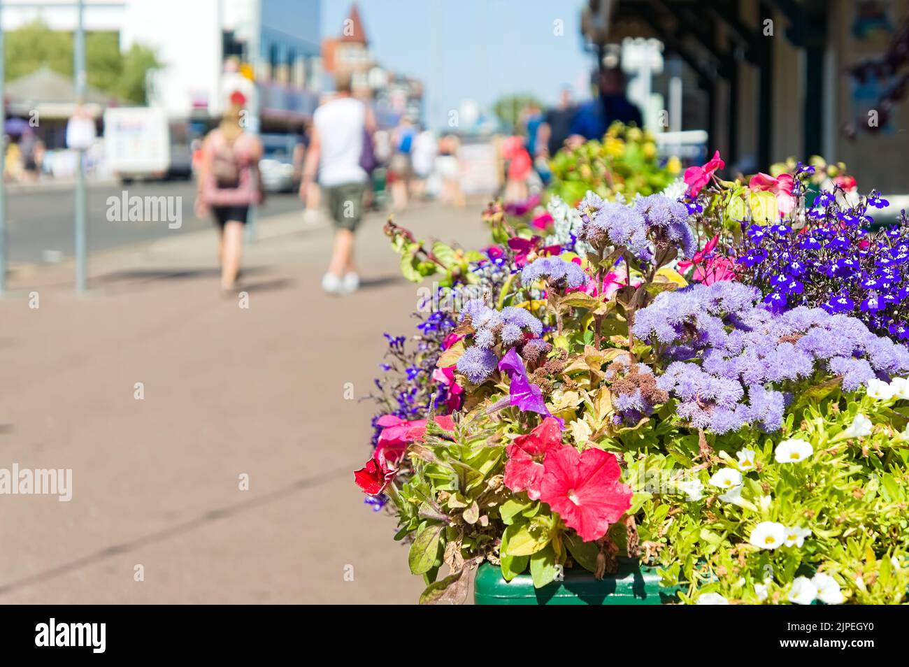 Pot of flowers on the street with people walking by in the background ...