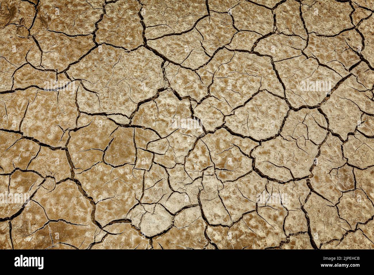 drought, cracked, mud, arid, droughts, dry, dryness, crackeds, muds ...