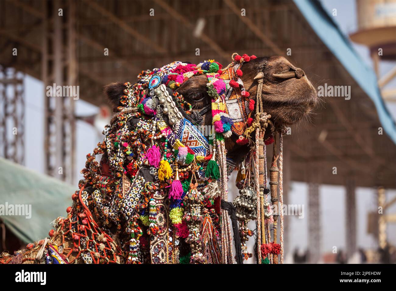 Camels decorations hi-res stock photography and images - Alamy