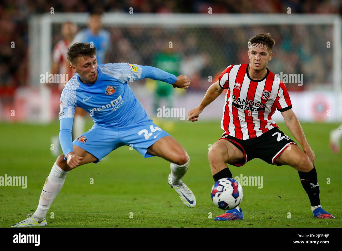 Dan neil sunderland hi-res stock photography and images - Alamy