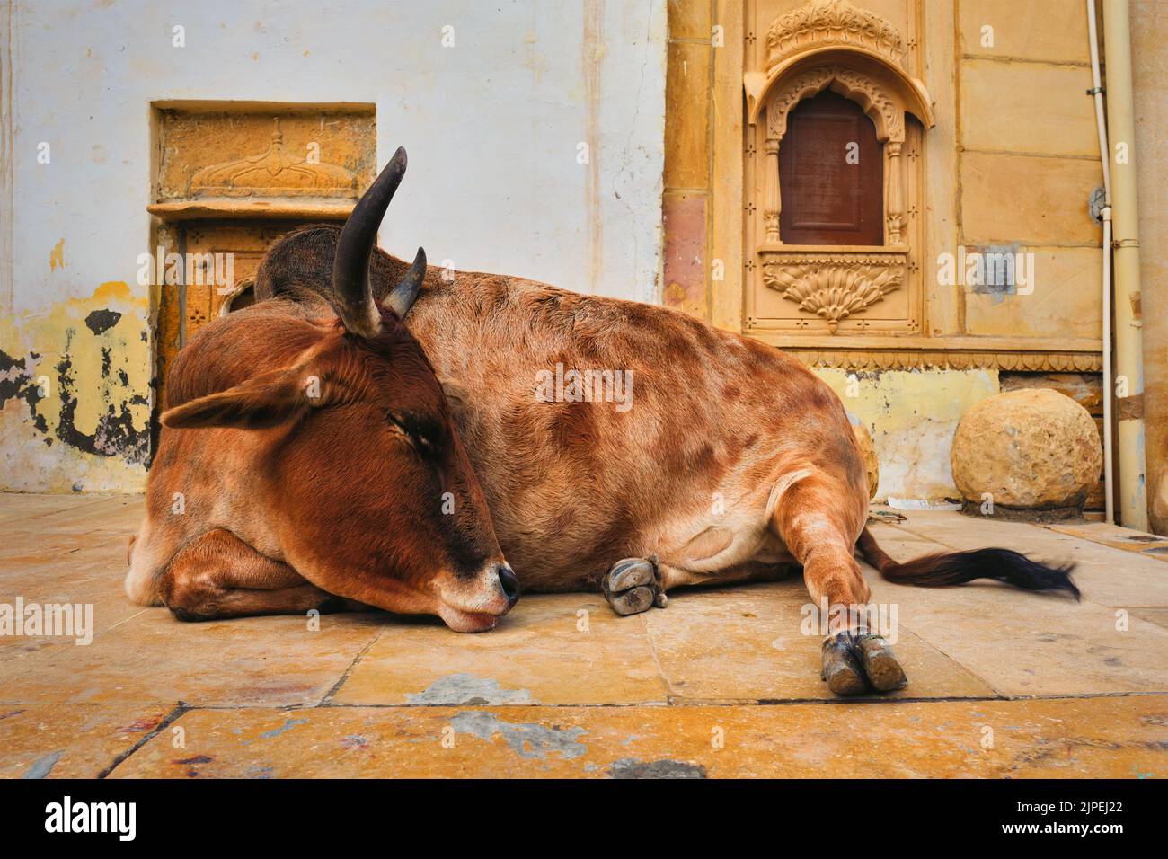 Holy of the holies hi-res stock photography and images - Alamy