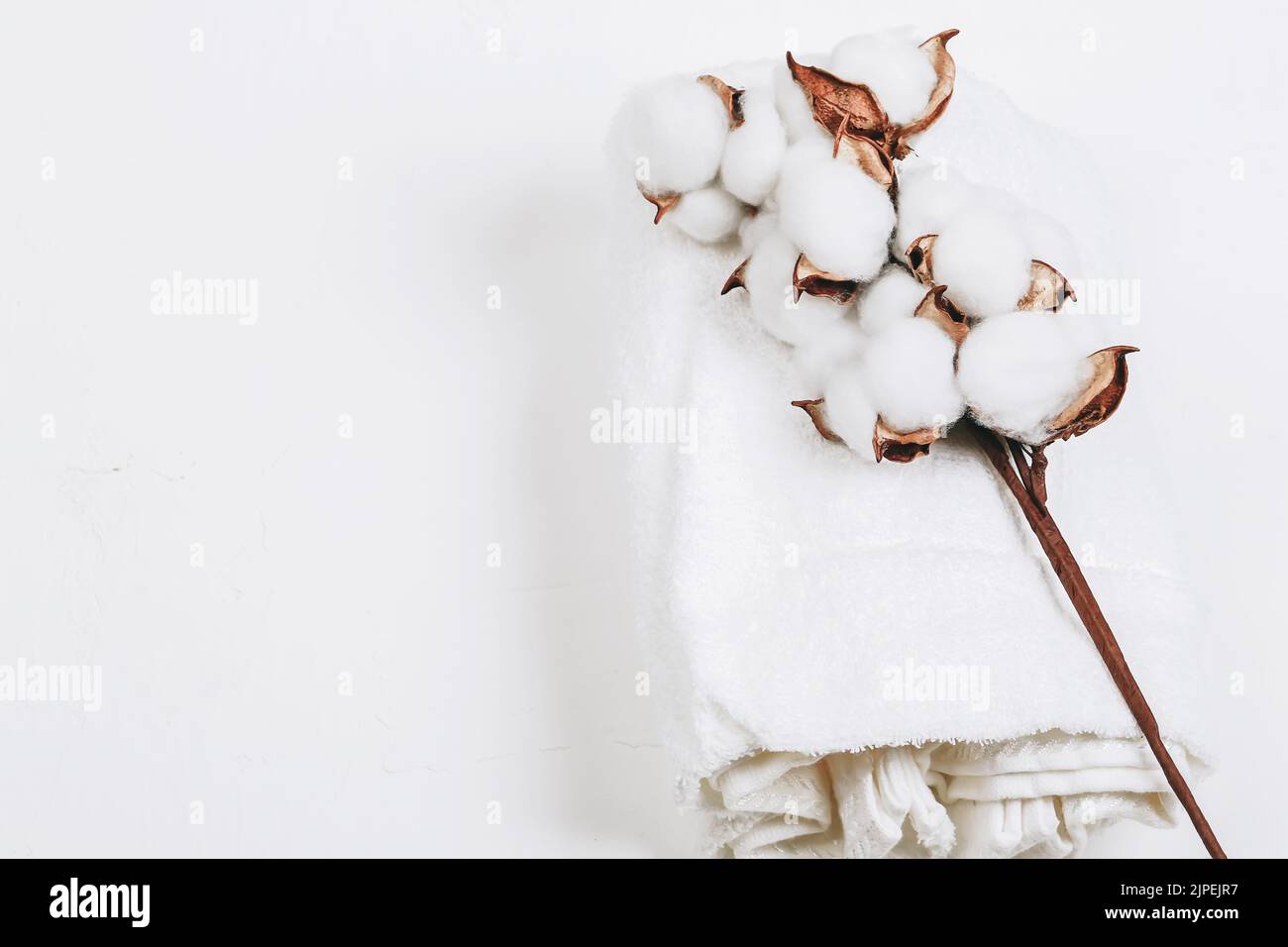 Natural color cotton hi-res stock photography and images - Alamy