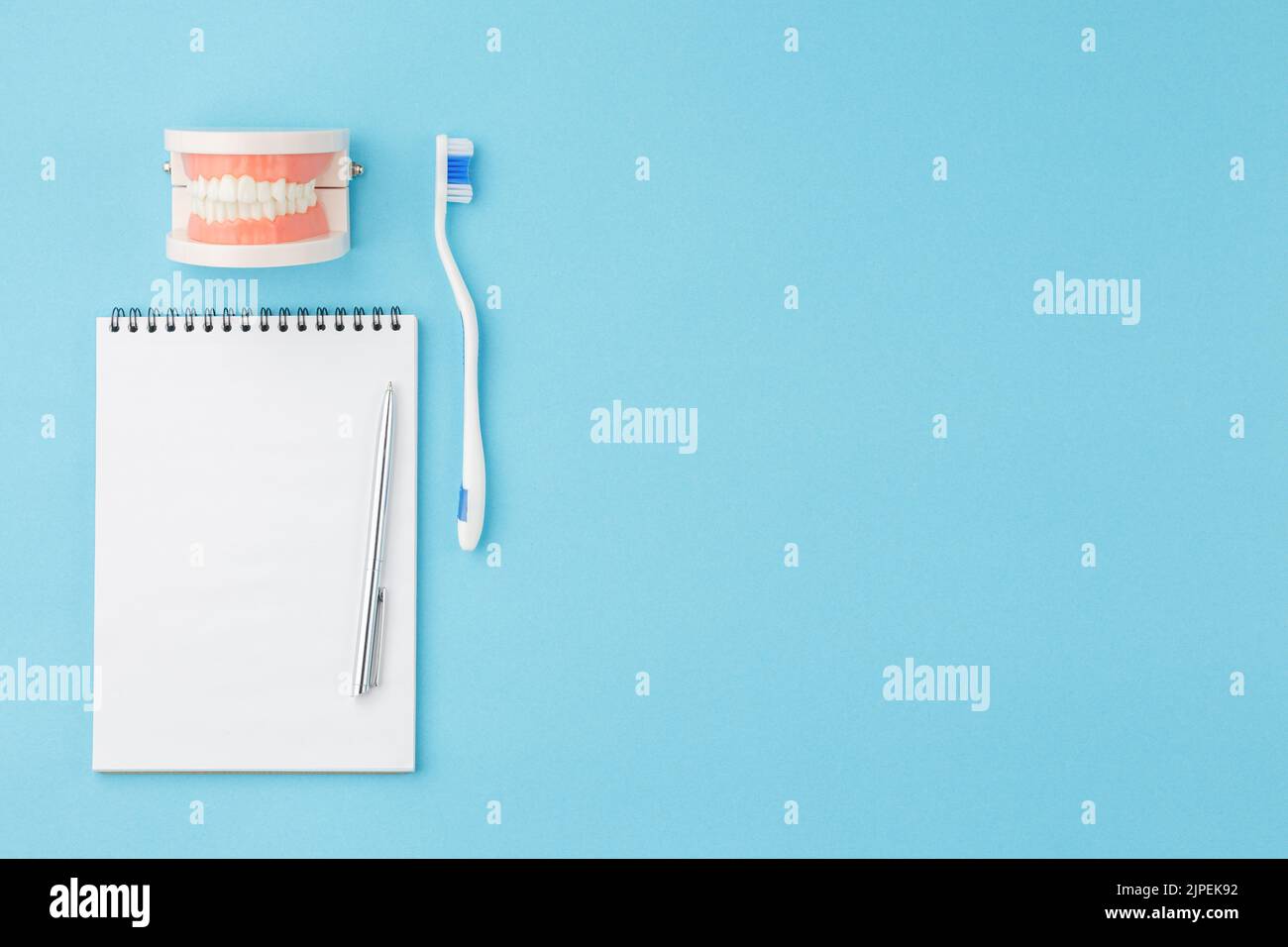 Dentist holding jaw model toothbrush hi-res stock photography and ...